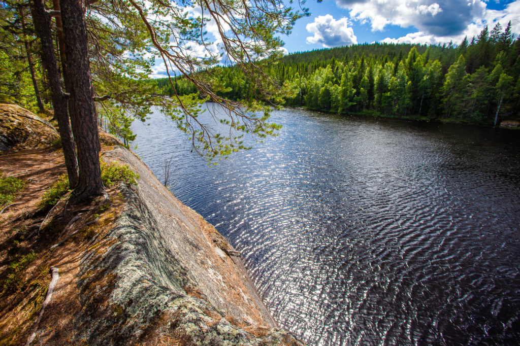 Koljatti - Viitasaari